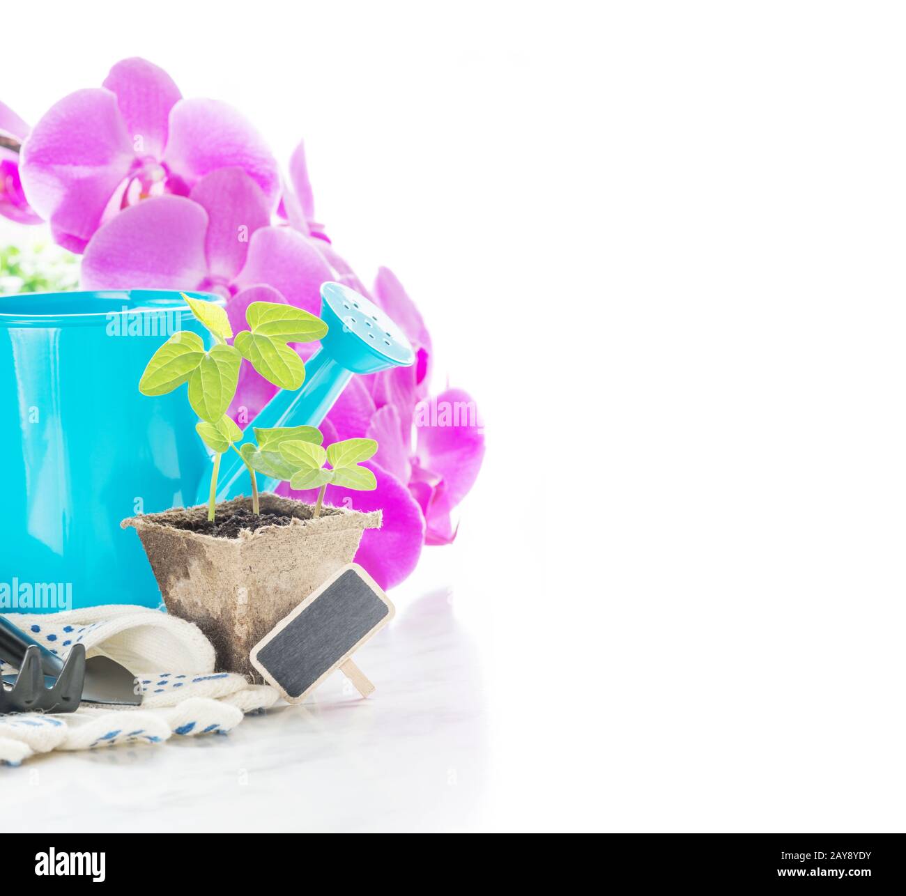 Peat floriculture hi-res stock photography and images - Alamy
