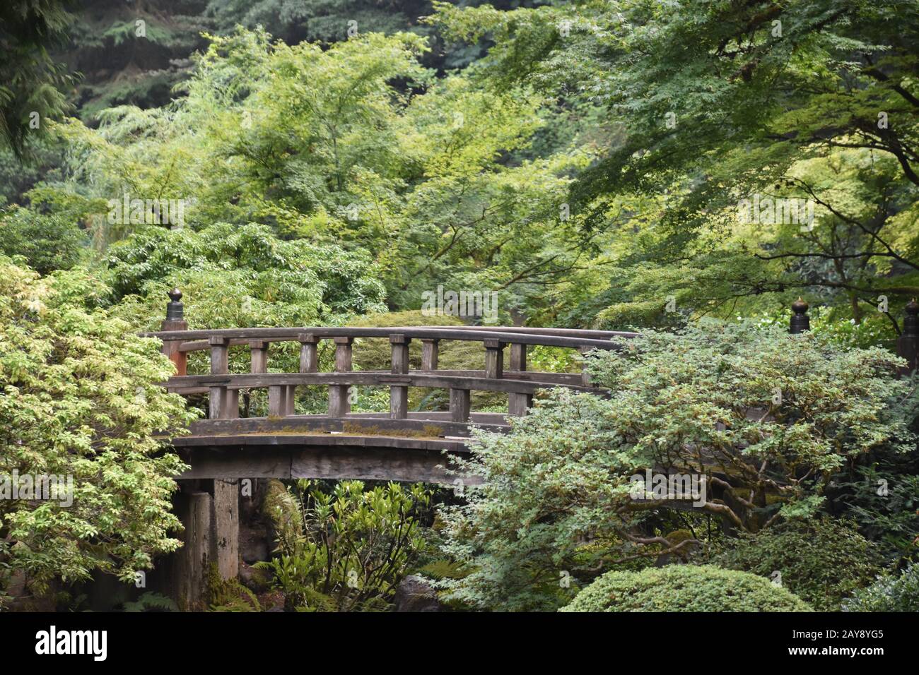 Portland Japanese Garden in Oregon Stock Photo - Alamy