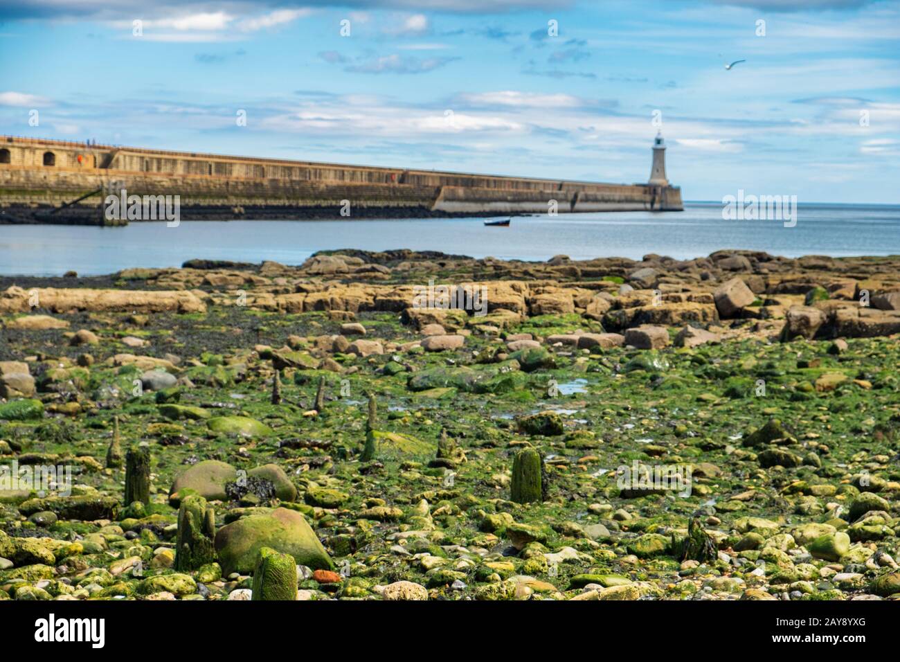 Tynemouth pier hi-res stock photography and images - Alamy