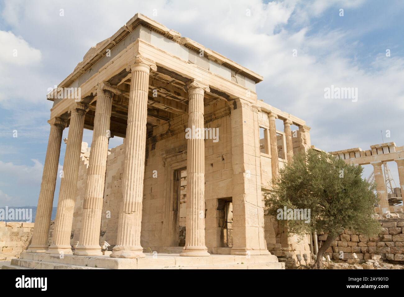 Temple and Olive Tree at the Acropolis of Athens, Greece Stock Photo ...