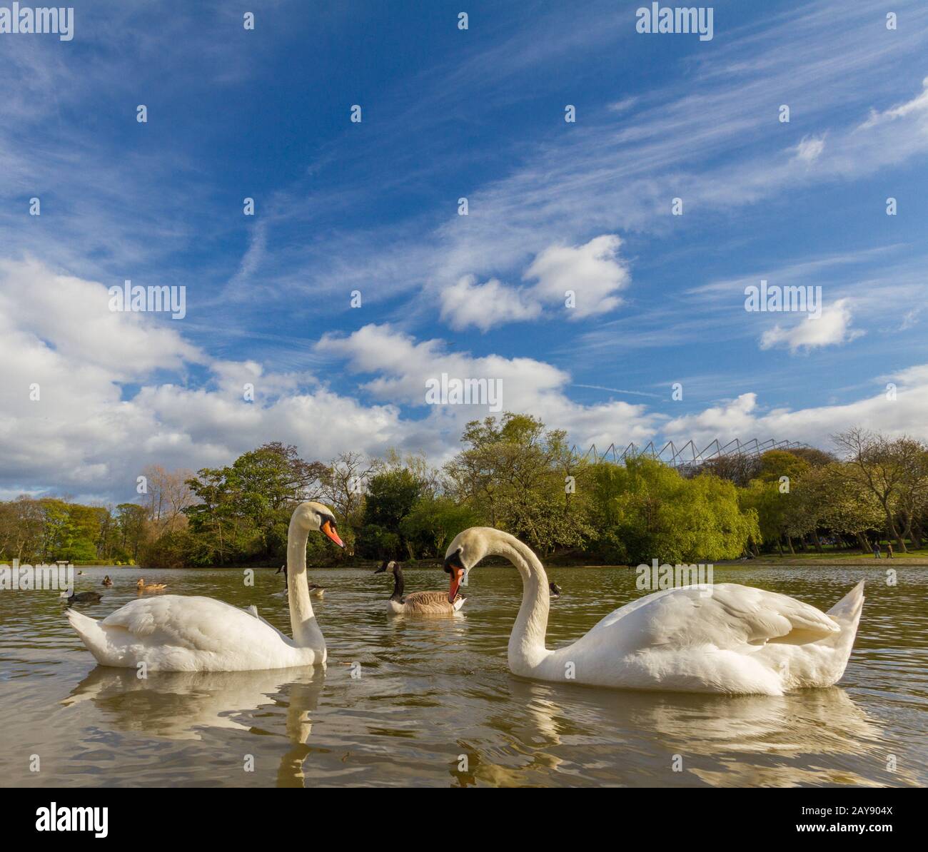 Symbol of newcastle hi-res stock photography and images - Alamy