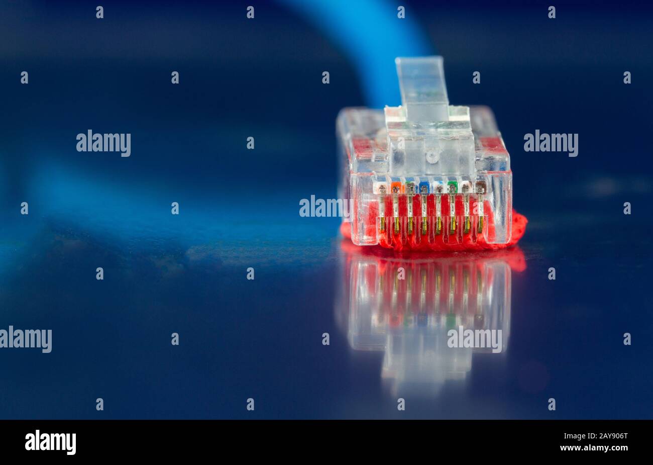 Network Ethernet Cable isolated on a blue background close-up Stock ...