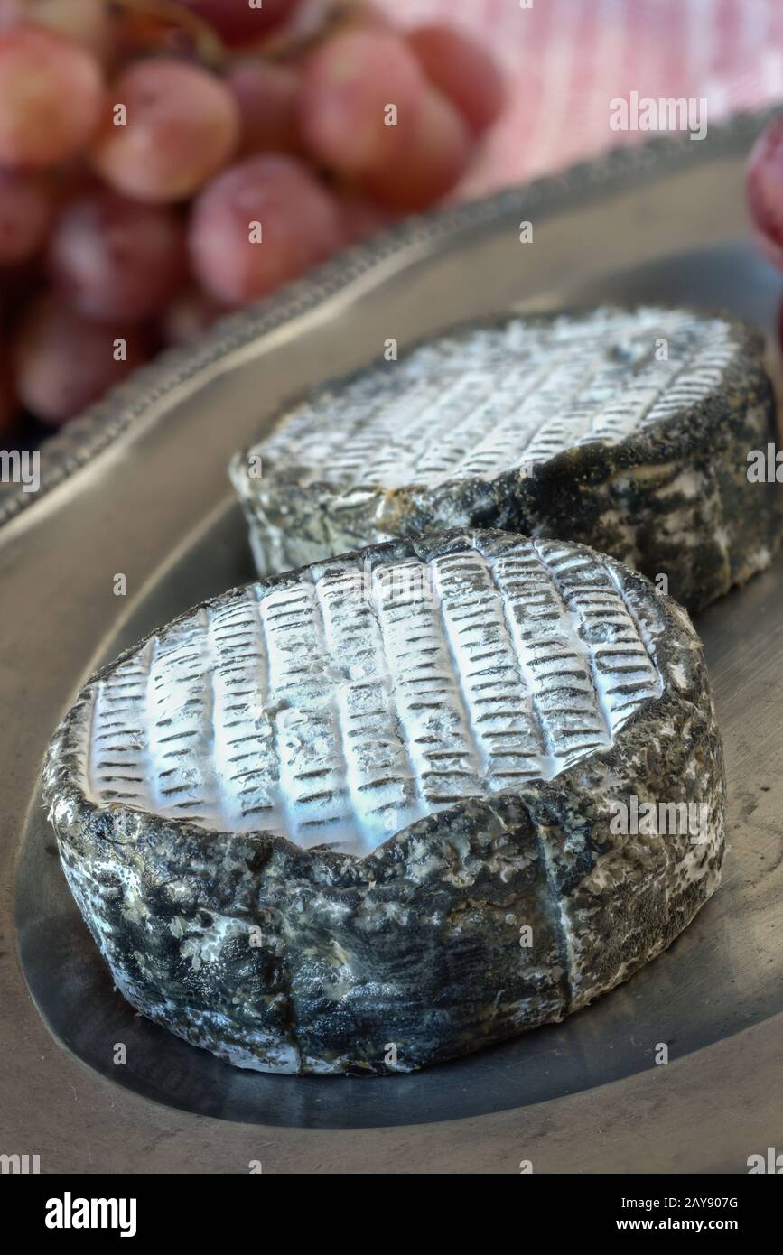 French soft cheese with grey mould on a pewter plate and grapes Stock ...