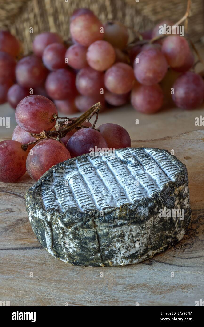 French soft cheese Stock Photo - Alamy