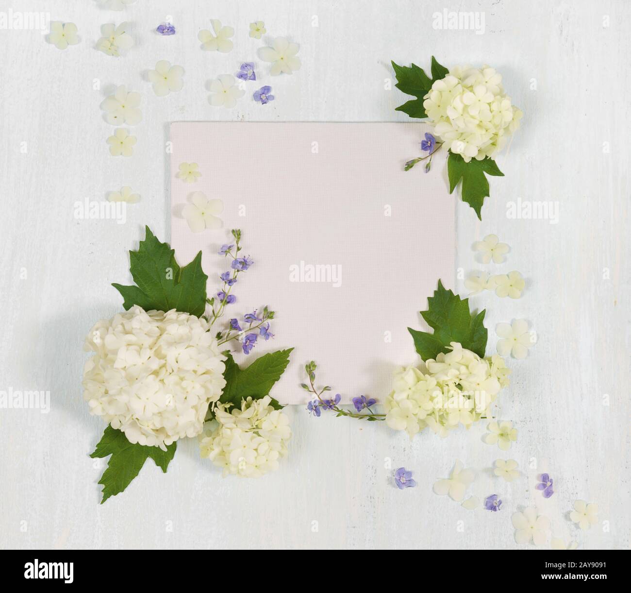 Scrapbook page with white and blue flowers Stock Photo - Alamy