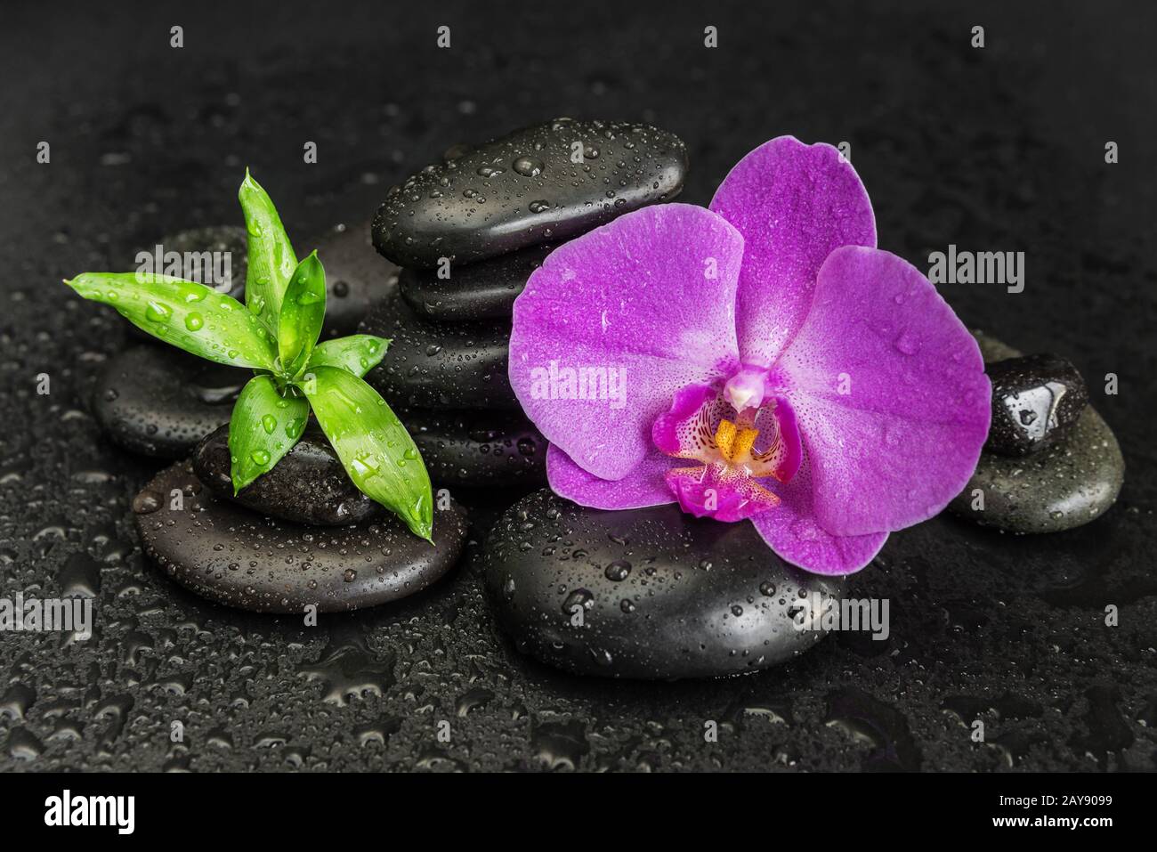 Bamboo flower hi-res stock photography and images - Alamy