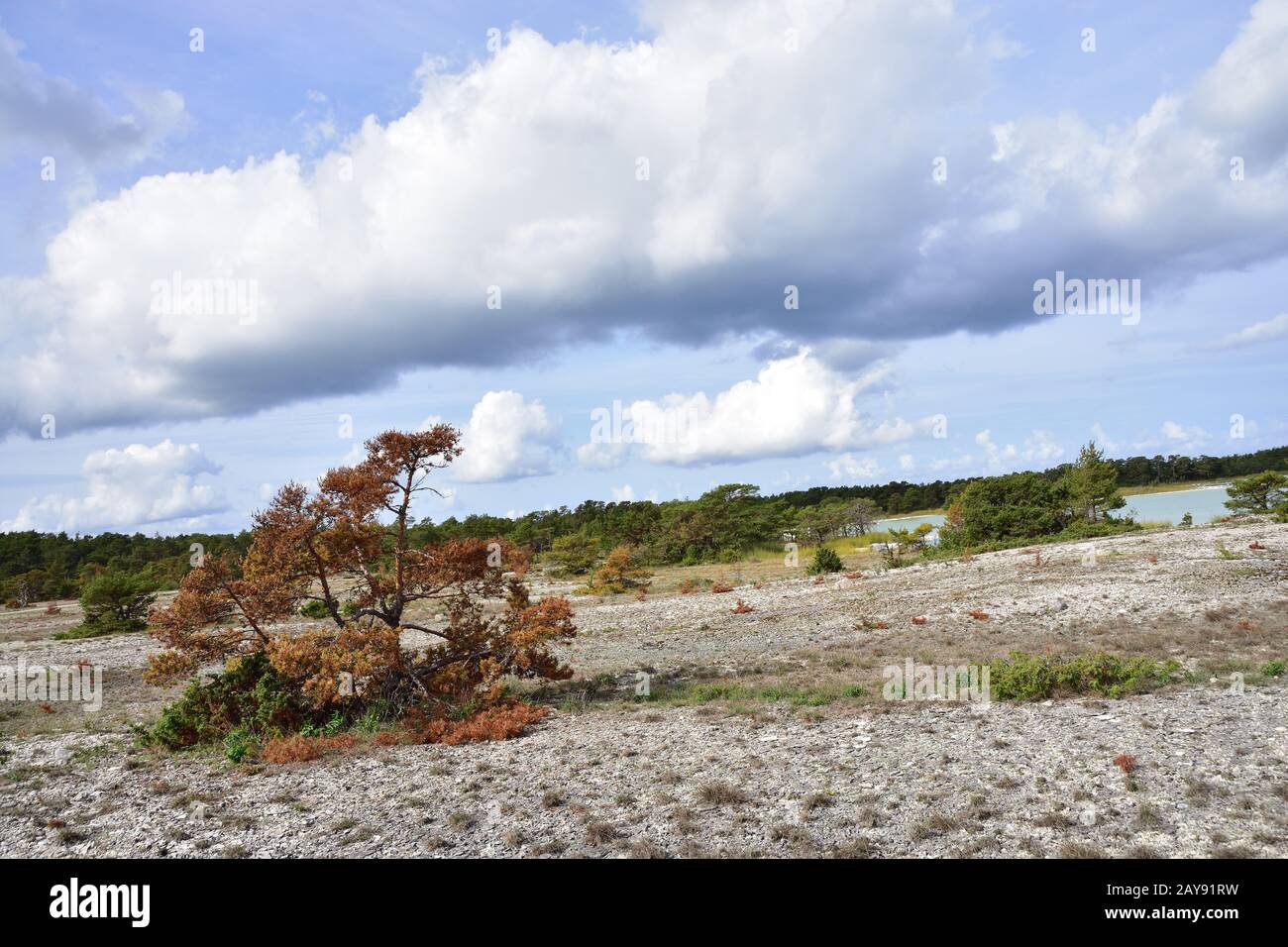 Aridity environment hi-res stock photography and images - Alamy