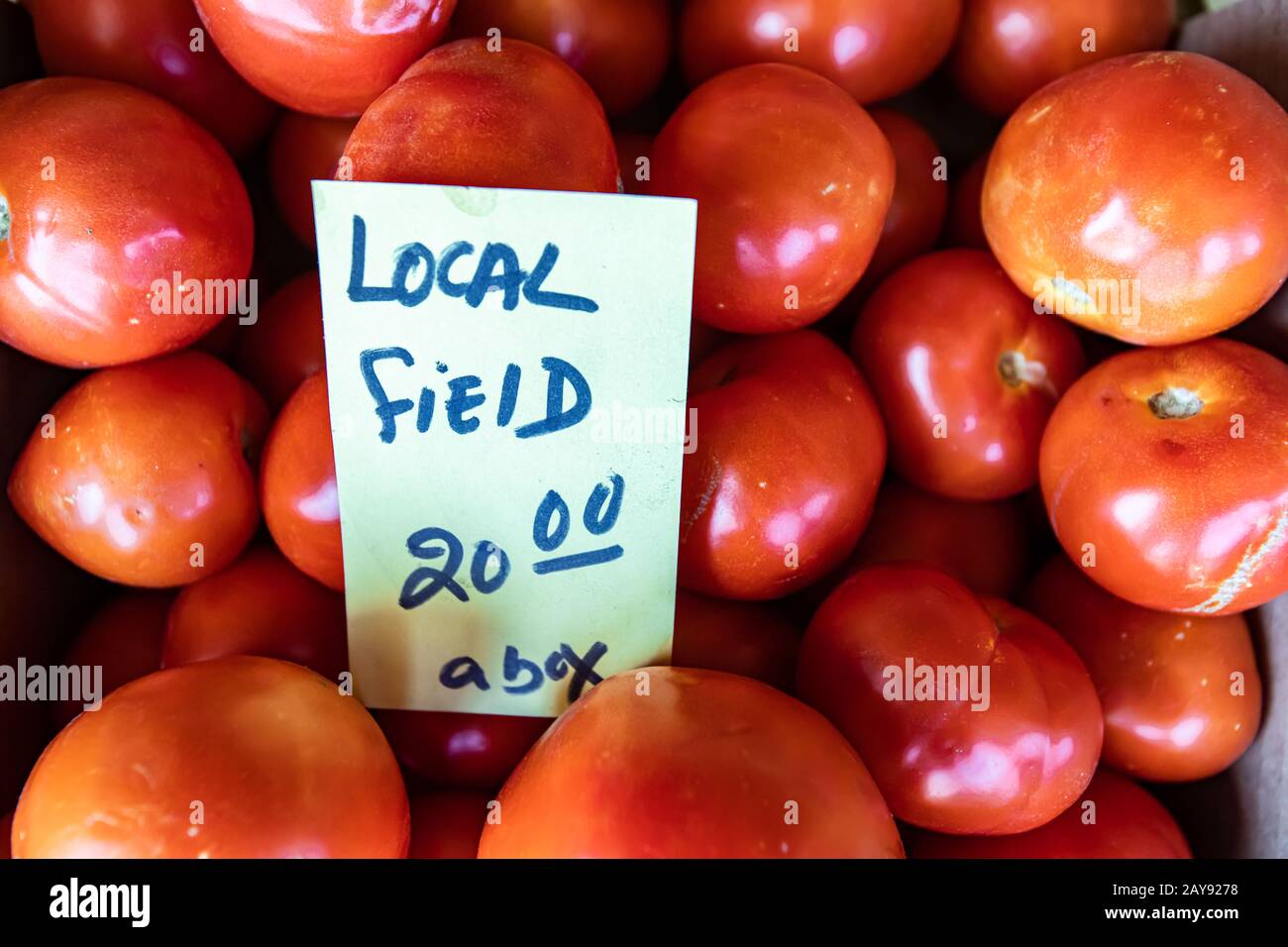 tomatoes on sale with hand written signs at the local food market ...