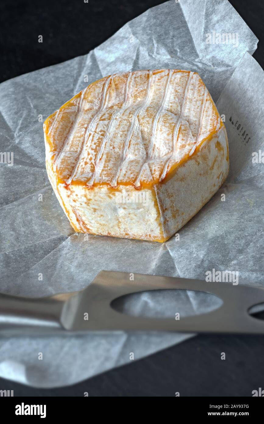 Le Brin cheese Stock Photo - Alamy