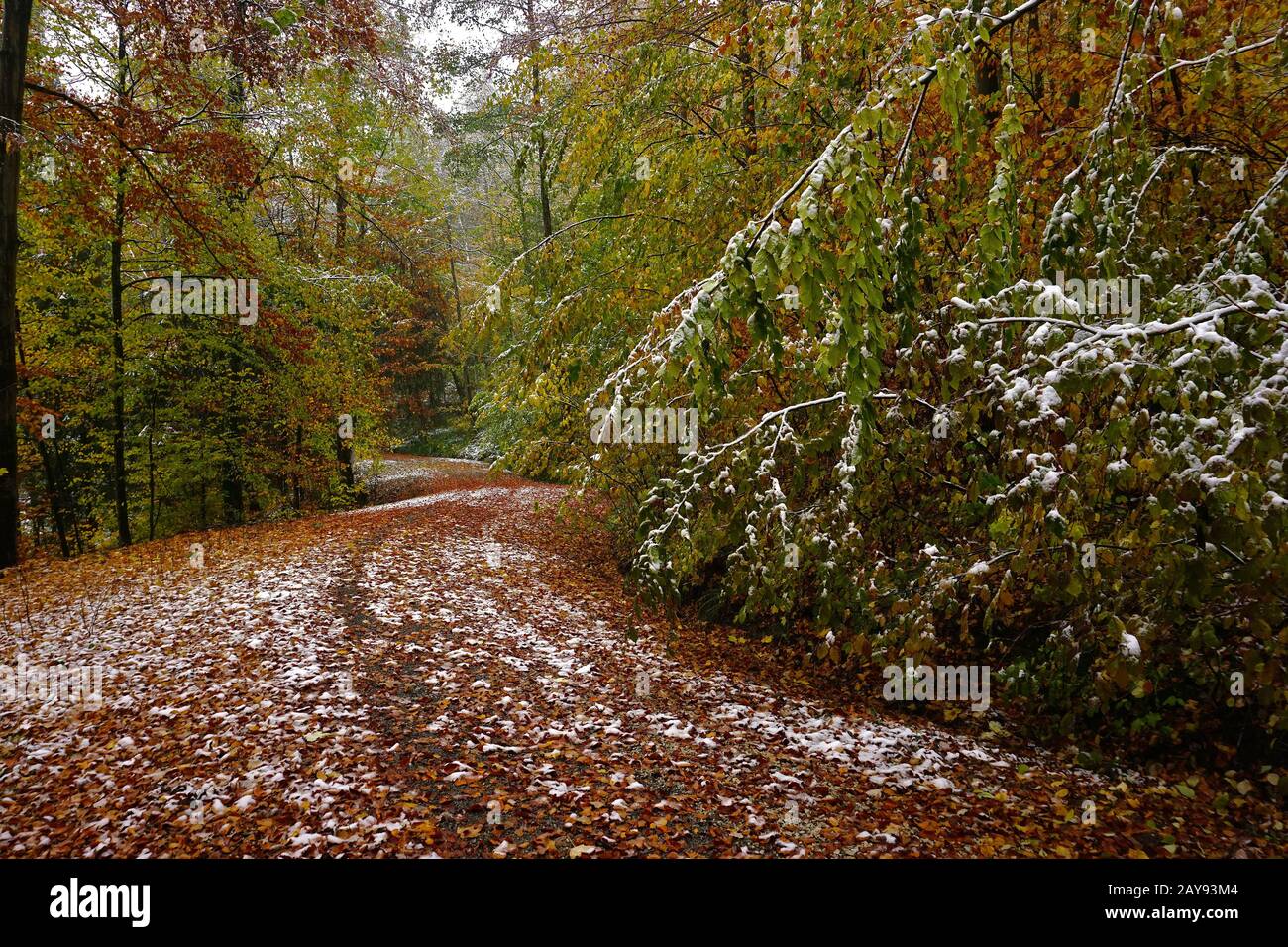 Late onset of winter hi-res stock photography and images - Alamy