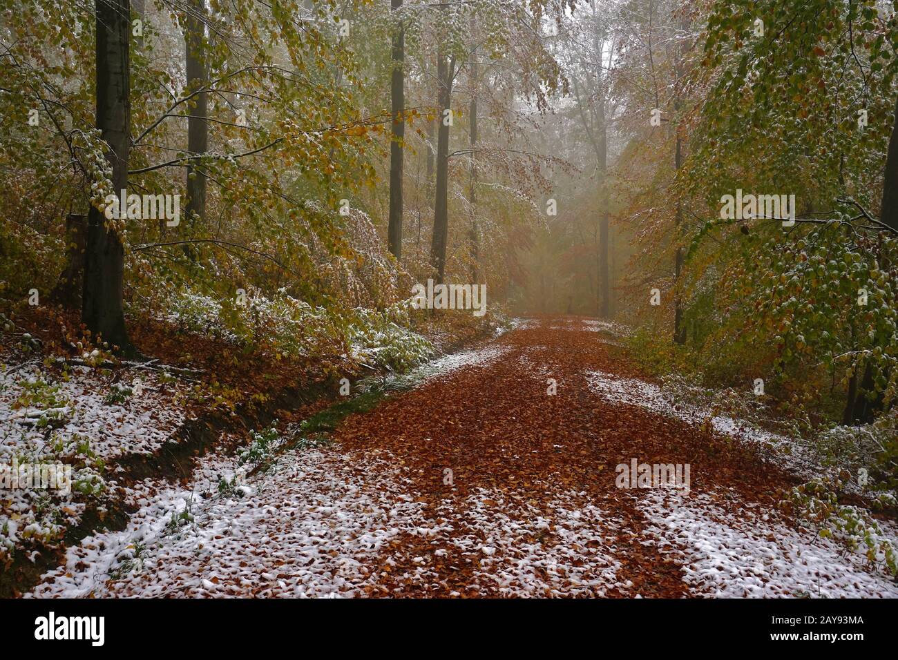 The onset of winter in October, swabian alps, Germany Stock Photo - Alamy