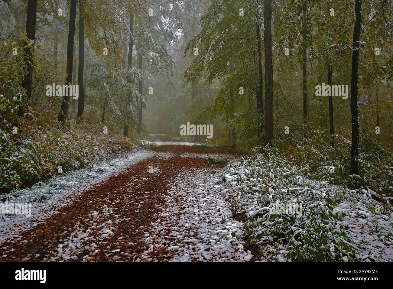 The onset of winter in October, swabian alps Stock Photo - Alamy