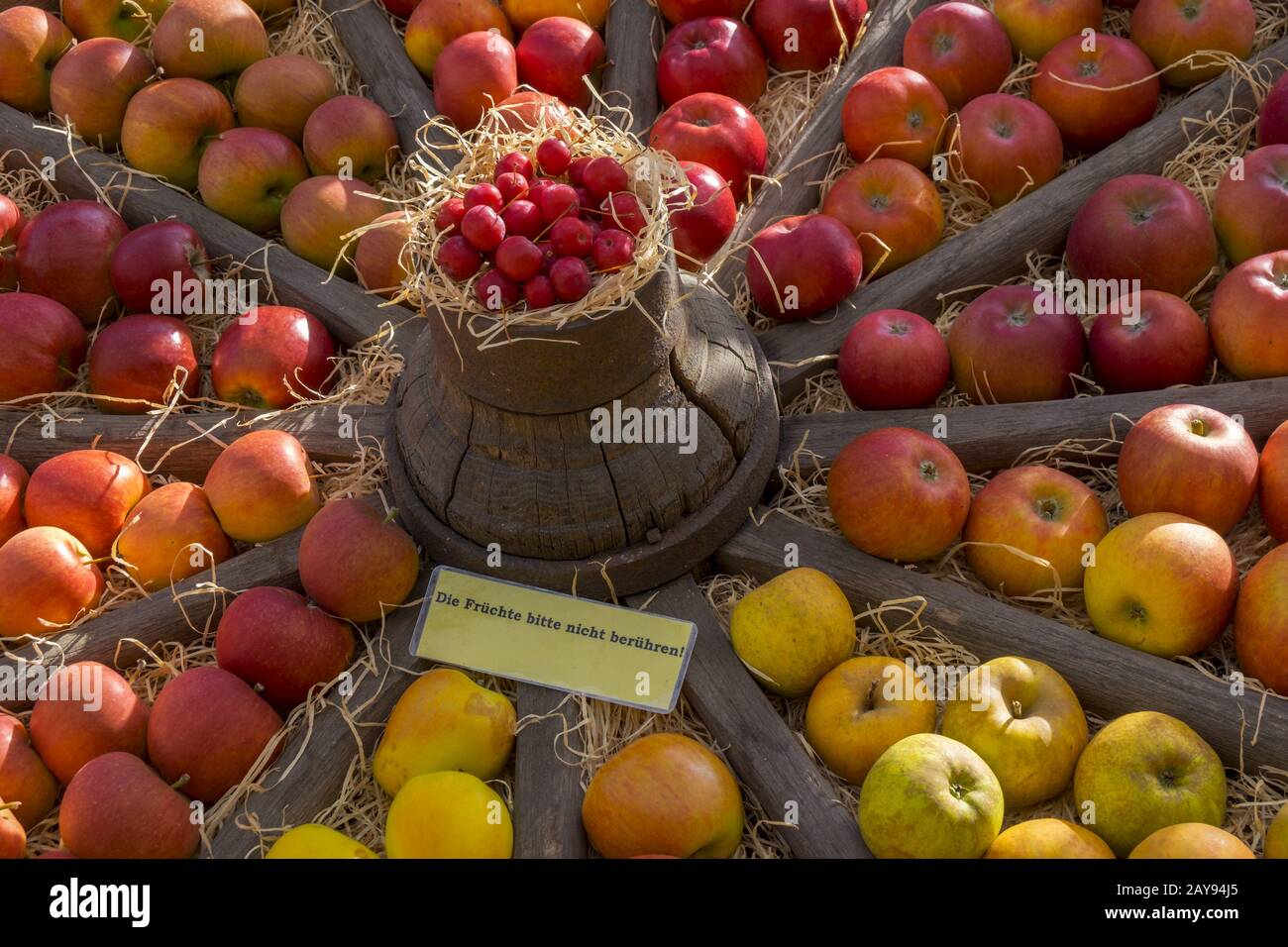 Presentation of different apple varieties Stock Photo - Alamy