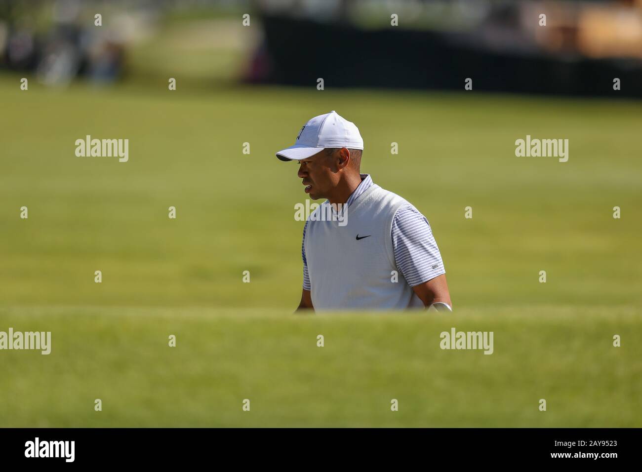 Tiger Woods in third hole bunker during the Genesis Invitational second ...