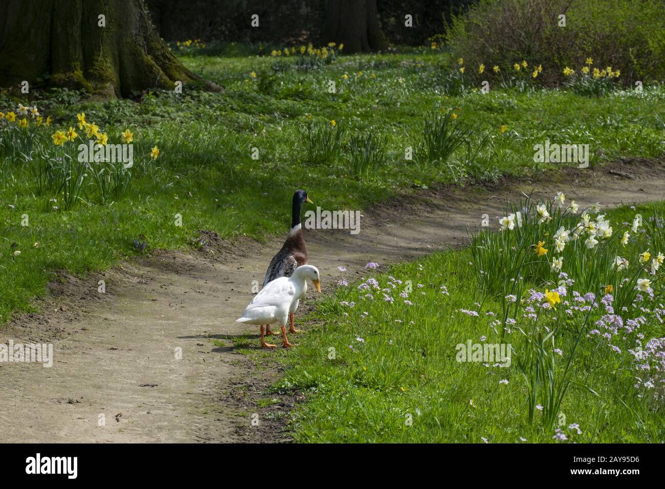 Spring walk hi-res stock photography and images - Alamy