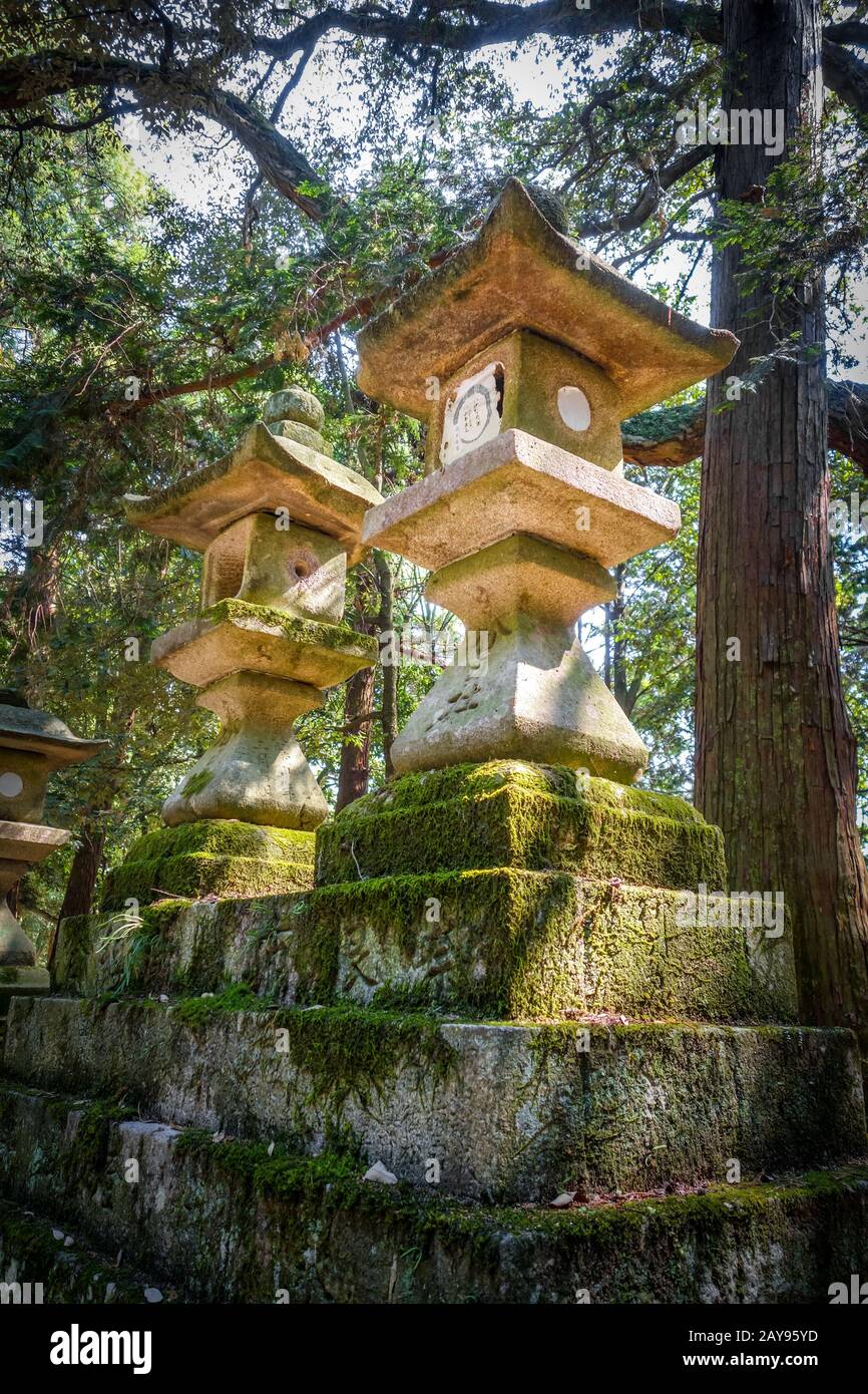 Kasuga-Taisha Shrine lanterns, Nara, Japan Stock Photo - Alamy
