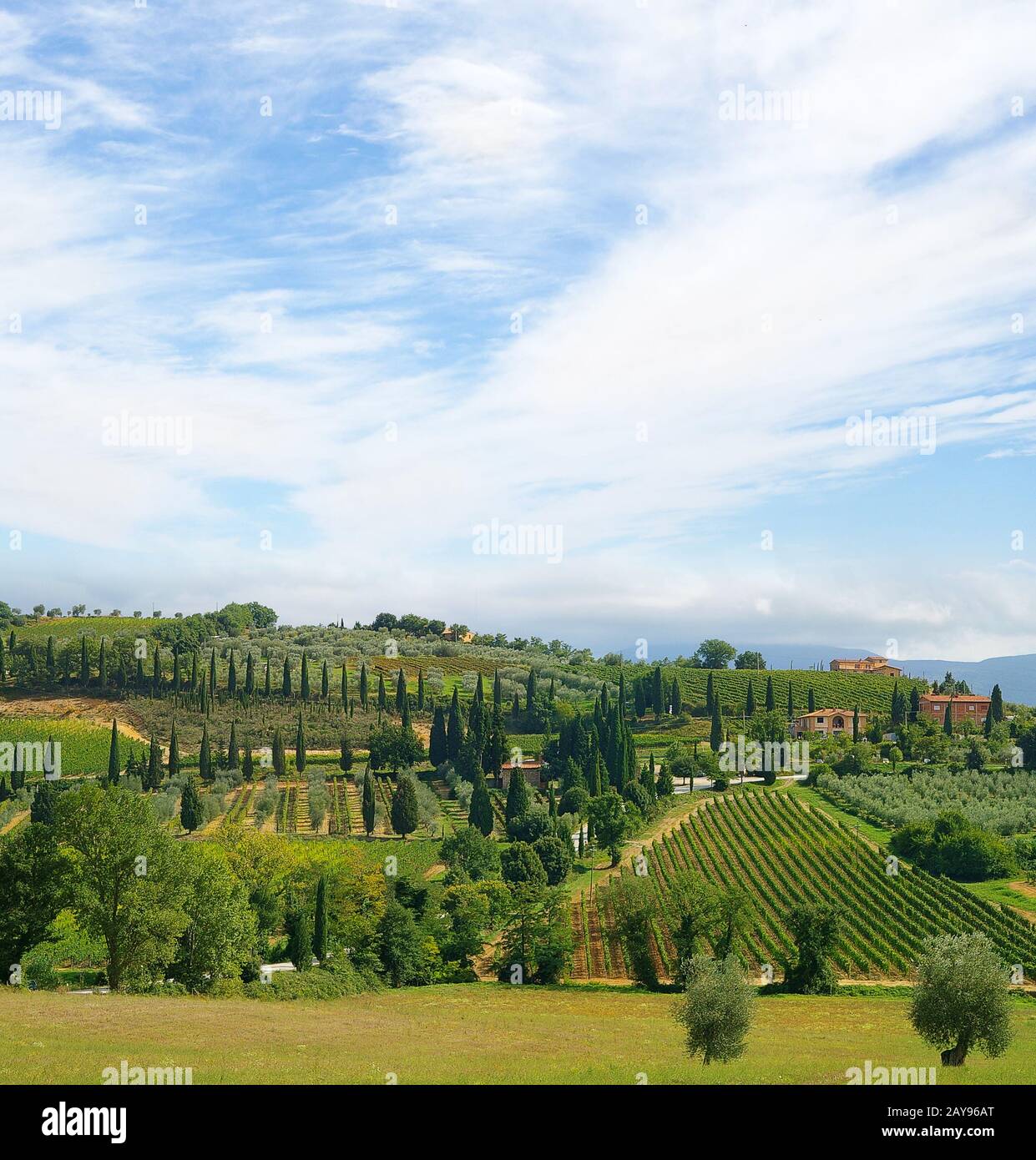 Tuscany Italy vineyards Stock Photo - Alamy