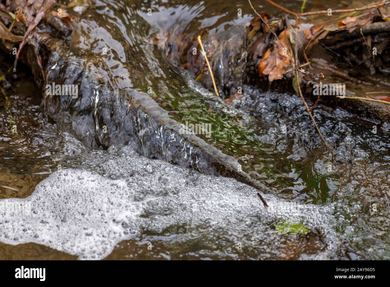 Clear stream flows in the woods over a tree trunk with foliage and ...