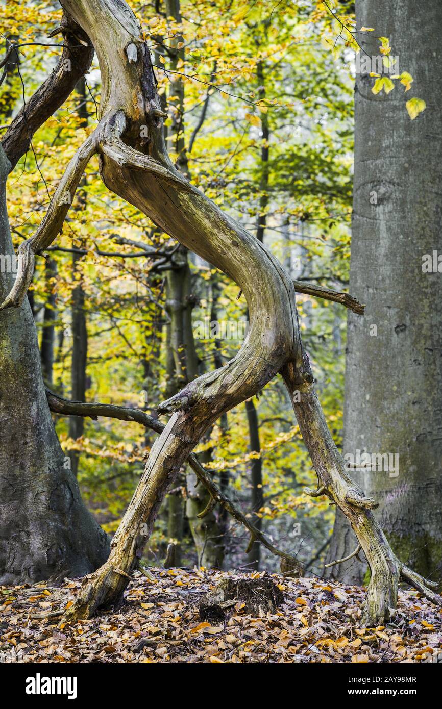 A big step hi-res stock photography and images - Alamy