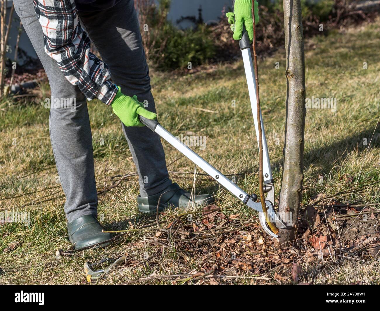 Root cutter hi-res stock photography and images - Alamy