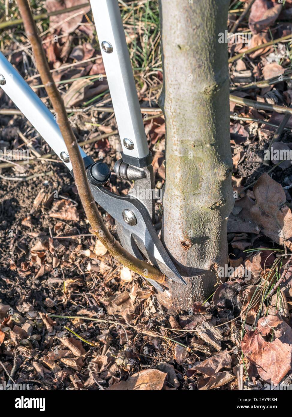 Root cutter hi-res stock photography and images - Alamy