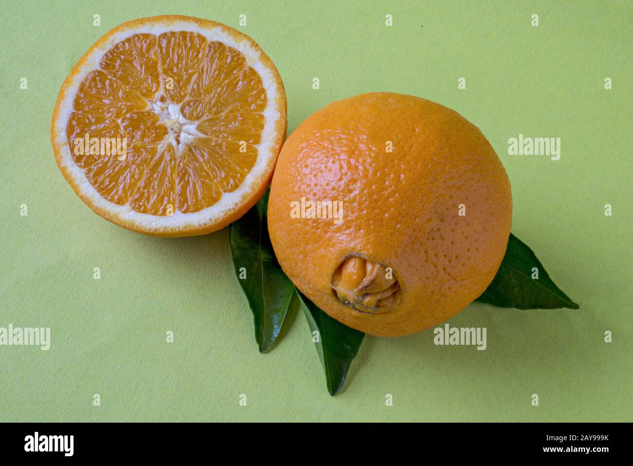 Navel hi-res stock photography and images - Alamy