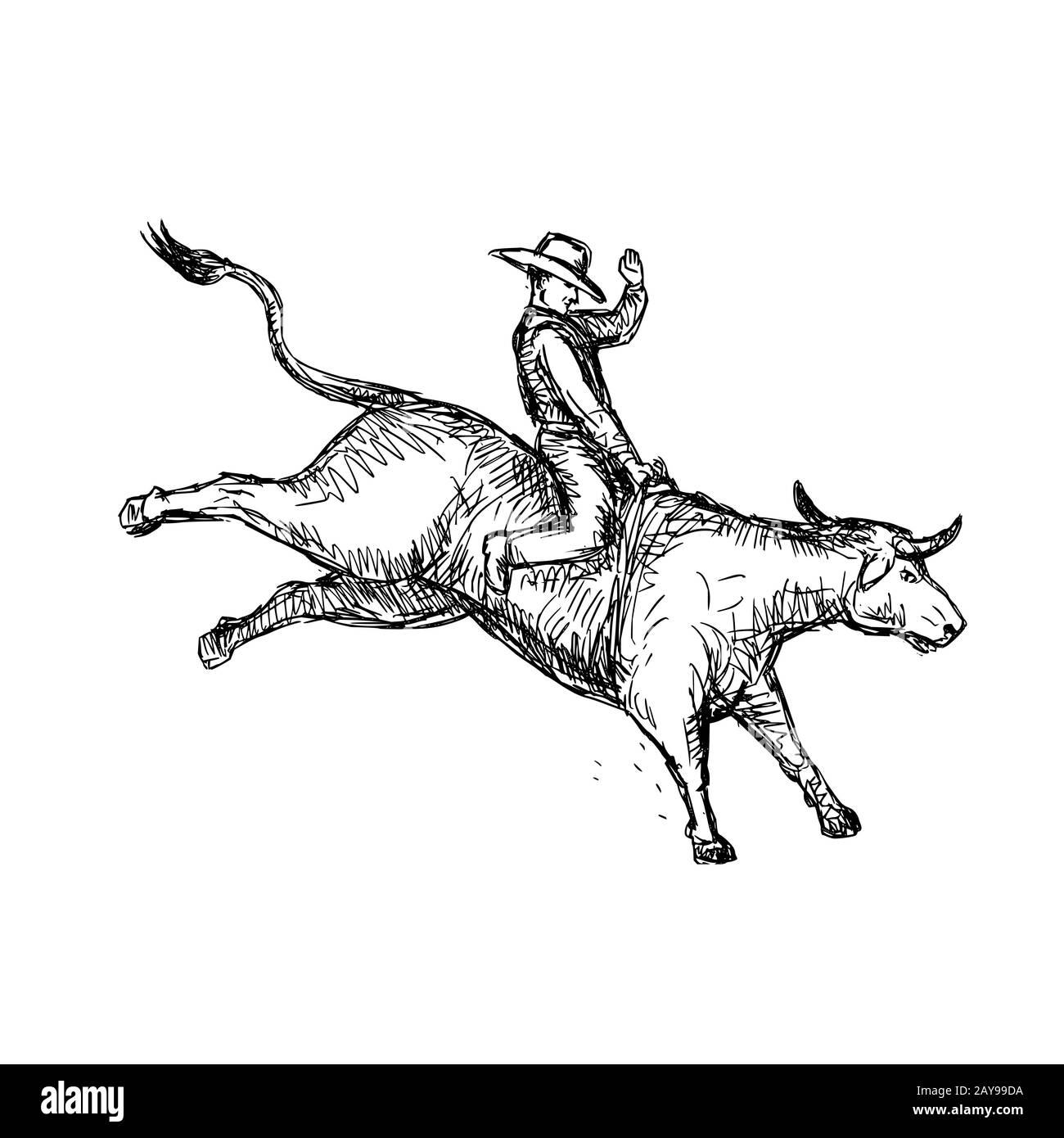 Bull Riding Rodeo Cowboy Drawing Stock Photo - Alamy