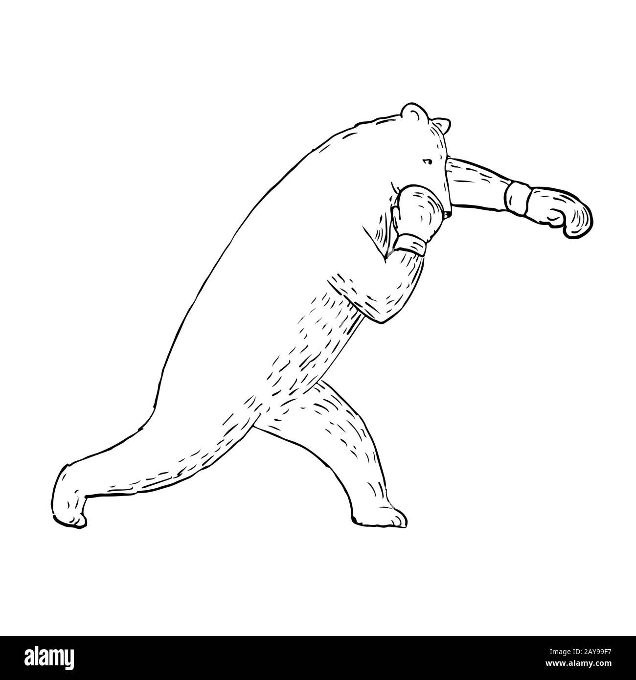 Bear left Cut Out Stock Images & Pictures - Alamy