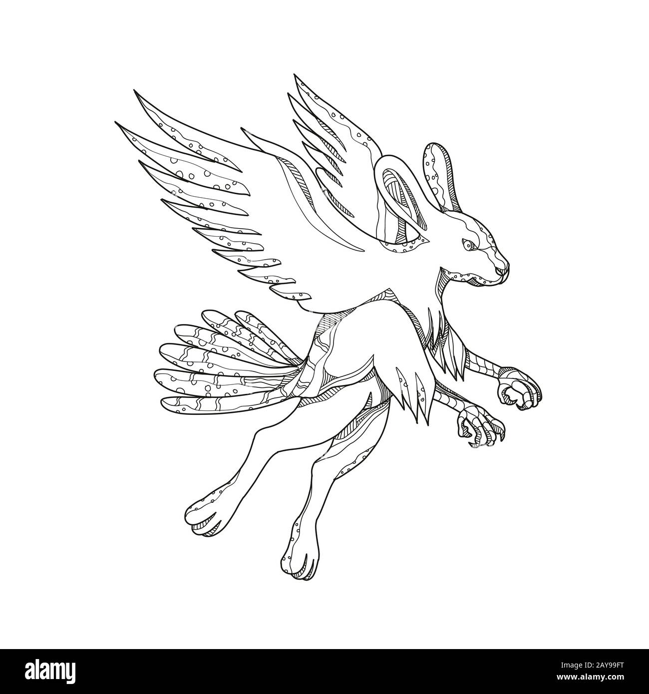 Skvader Flying Doodle Stock Photo - Alamy