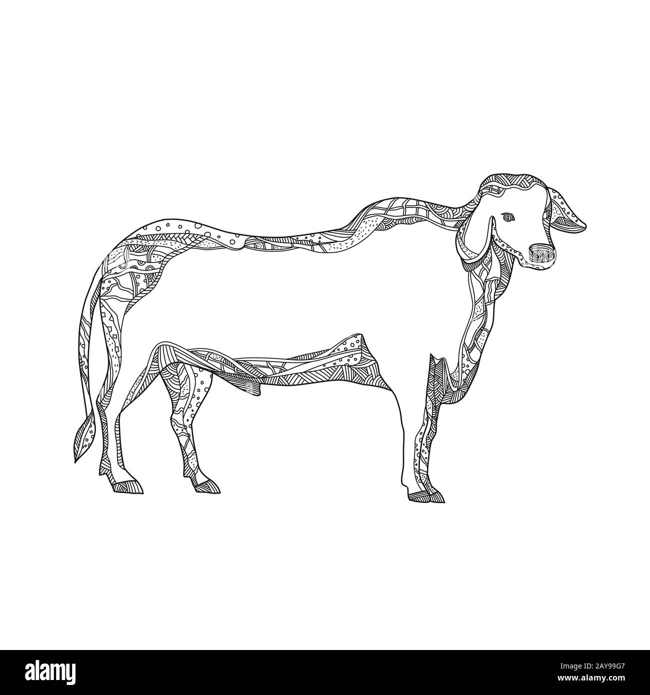 Brahma bull logo hi-res stock photography and images - Alamy