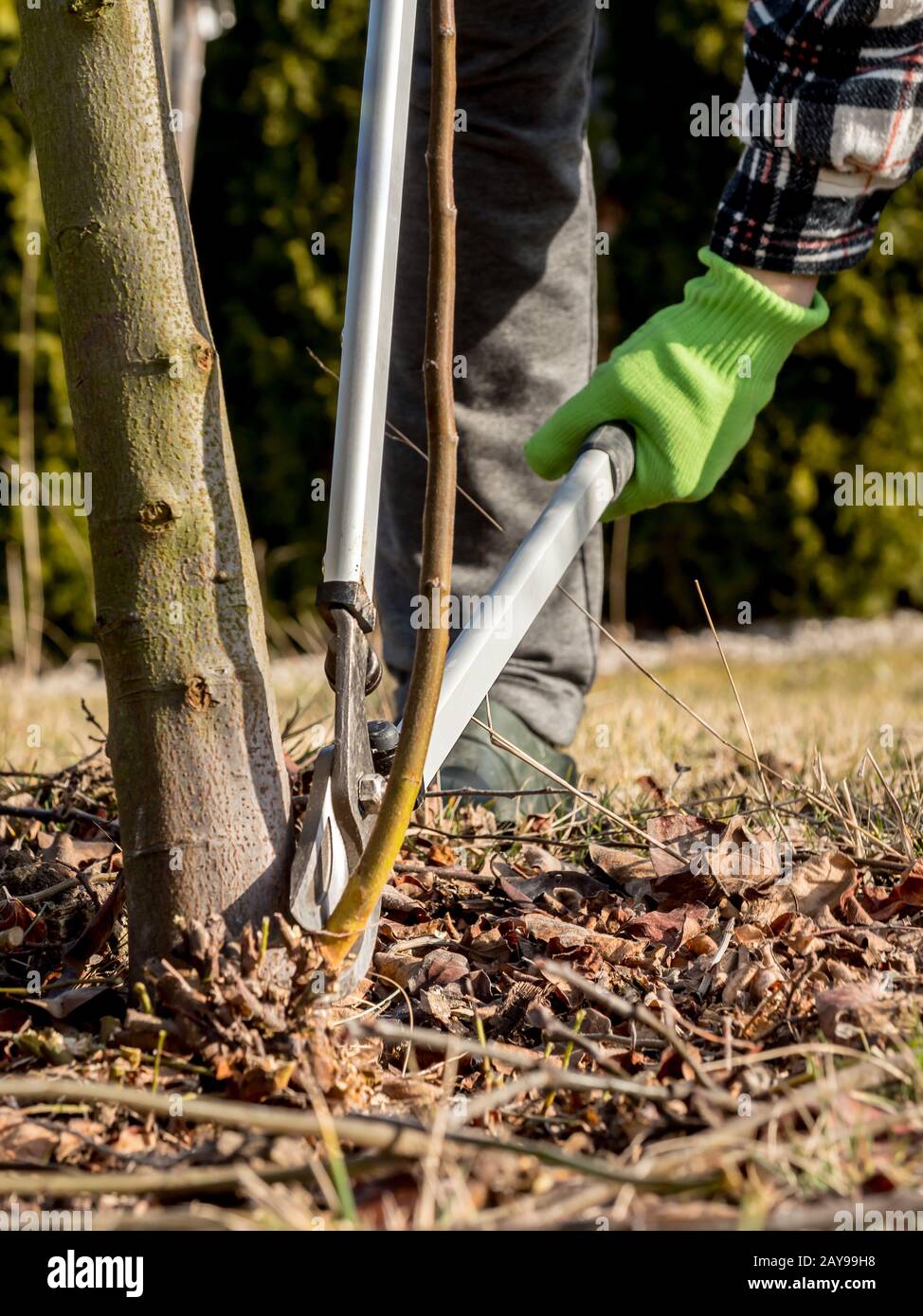 Root cutter hi-res stock photography and images - Alamy