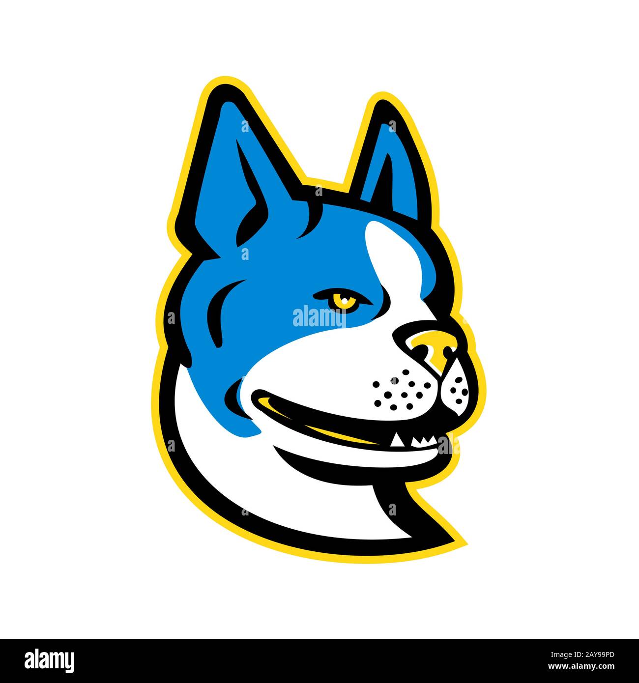 Boston Terrier Dog Mascot Stock Photo - Alamy