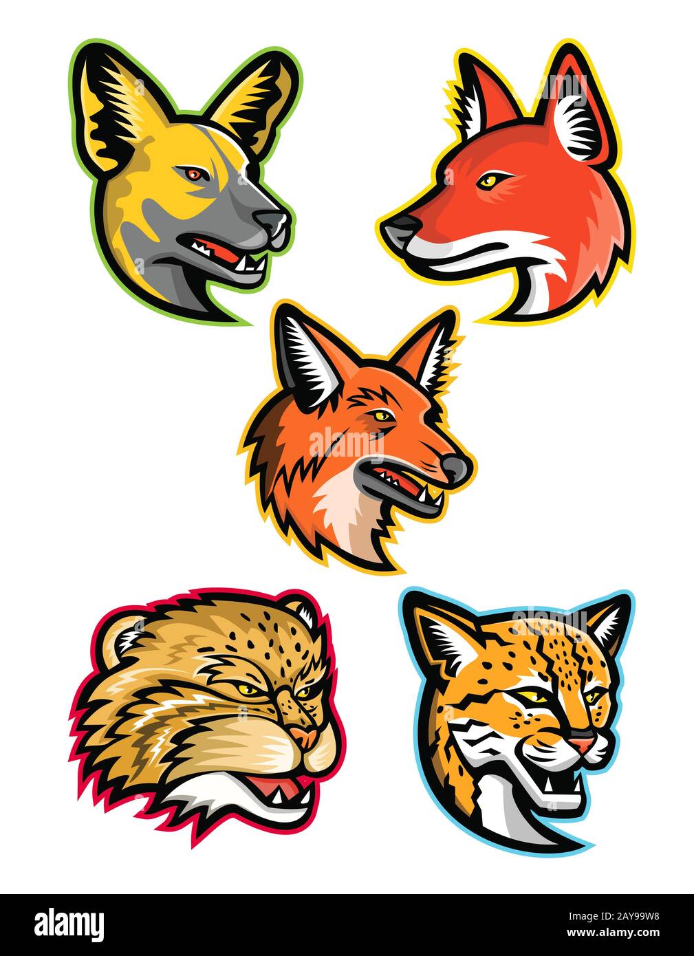 Wild Dogs and Wild Cats Mascot Collection Stock Photo - Alamy