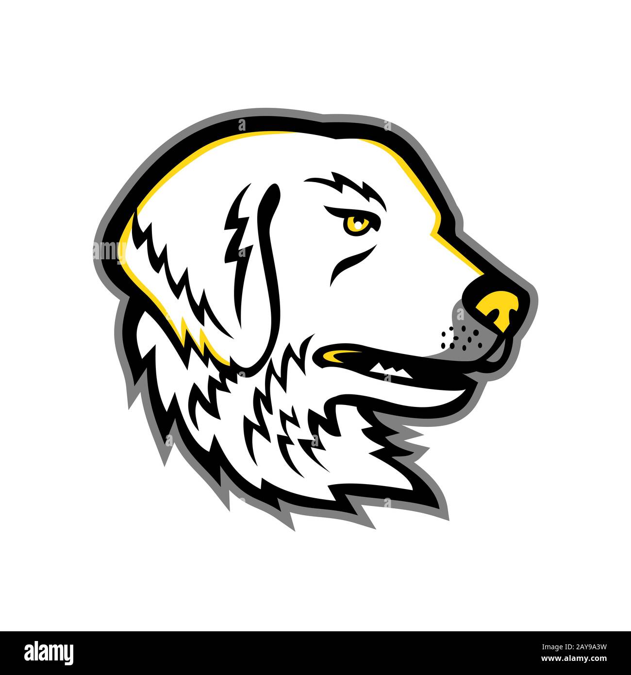 Pyr logo hi-res stock photography and images - Alamy