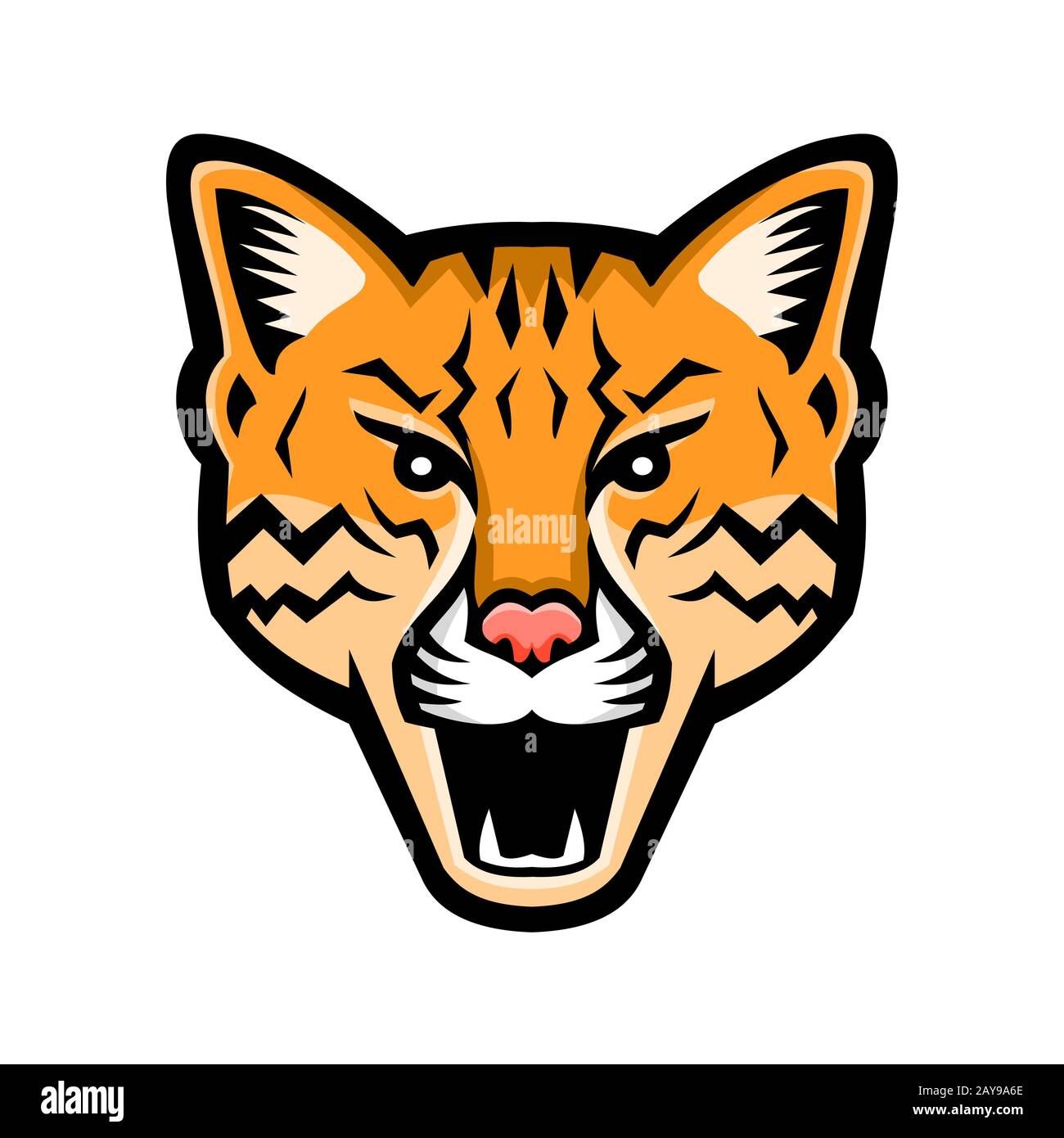 Ocelot head hi-res stock photography and images - Alamy