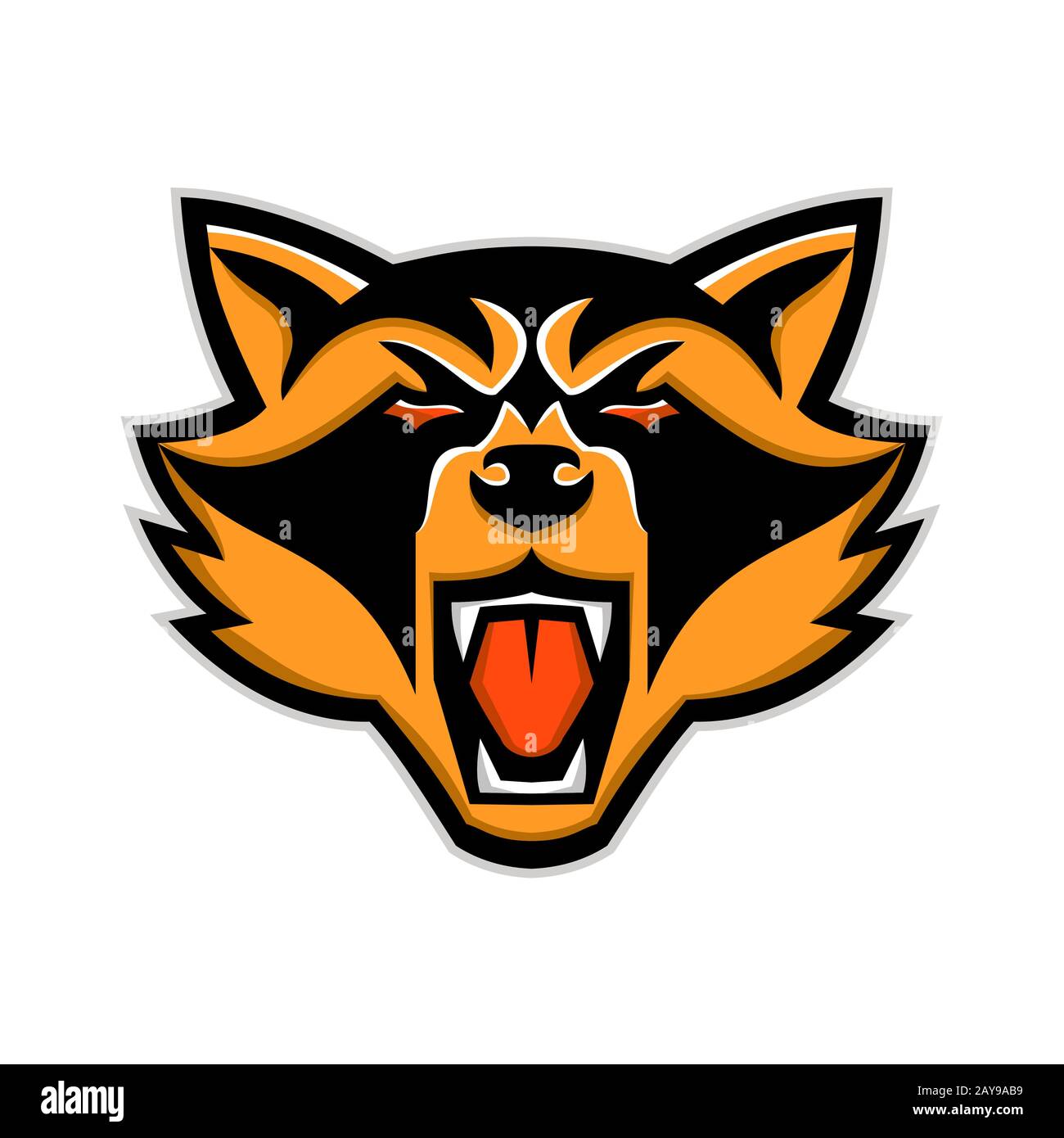 Angry Raccoon Head Mascot Stock Photo - Alamy