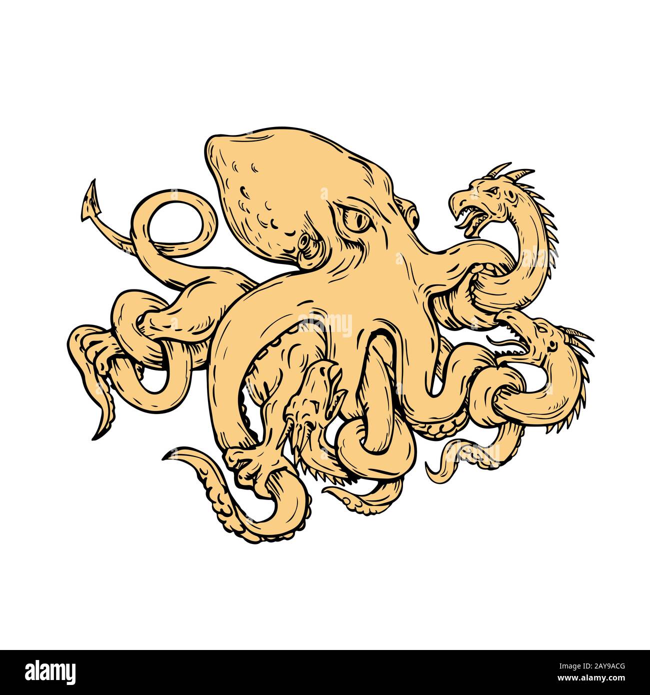 Octopus Hatching Drawing