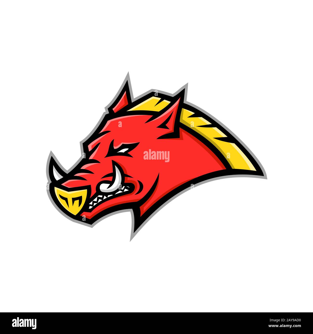 Angry razorback wild pig hog hi-res stock photography and images - Alamy