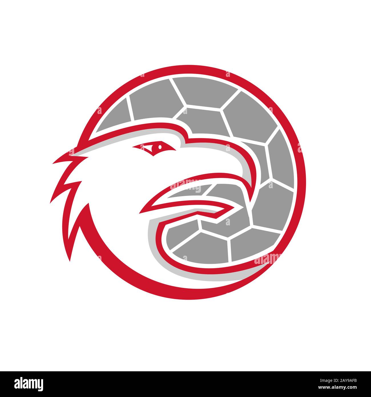 White tailed eagle erne Cut Out Stock Images & Pictures - Alamy