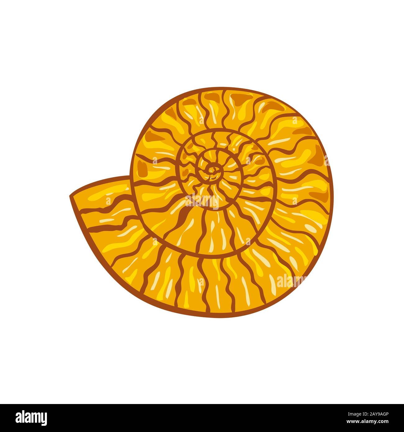 Ammonite illustration Cut Out Stock Images & Pictures - Alamy