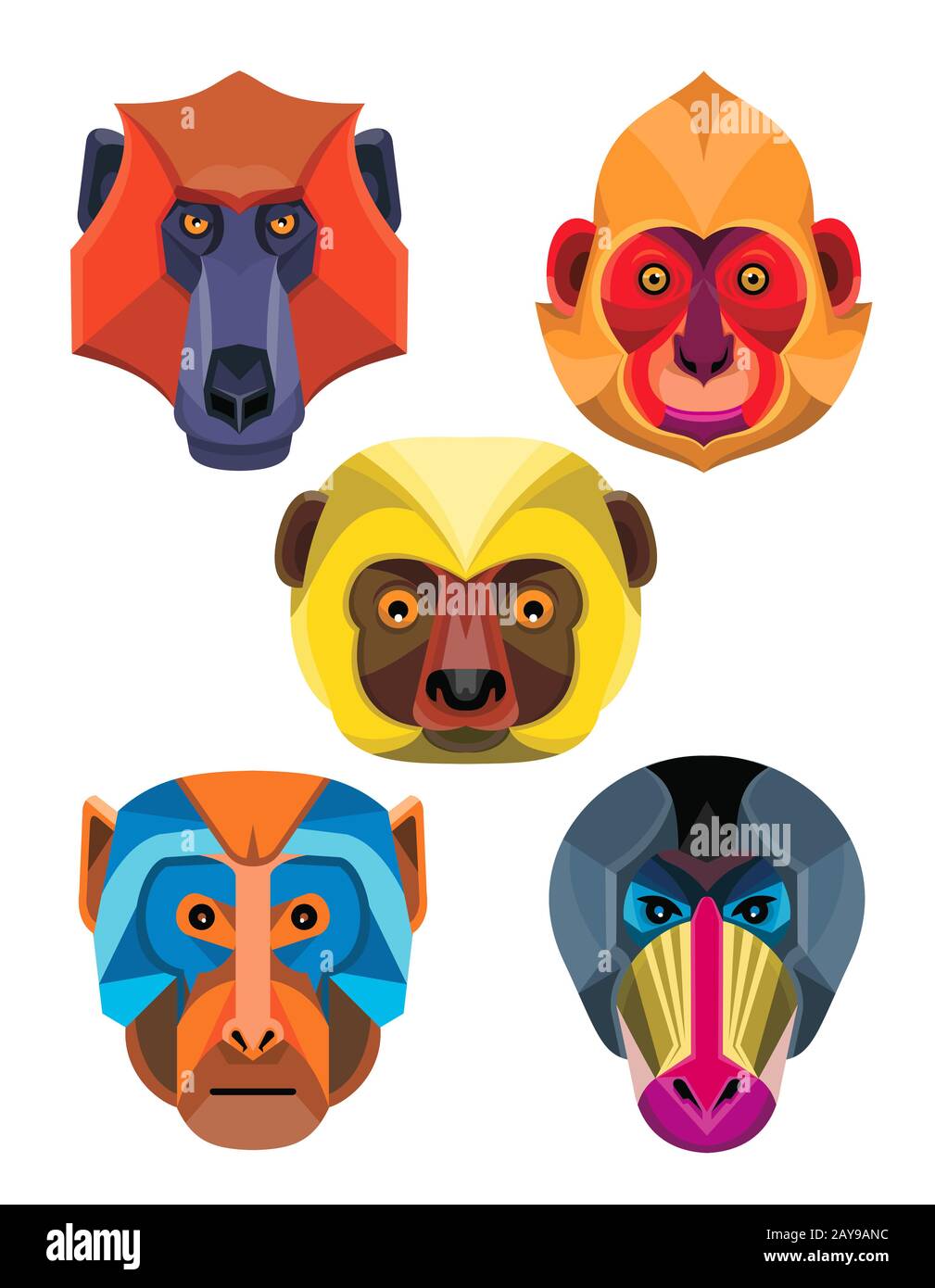 Macaque monkeys Cut Out Stock Images & Pictures - Alamy