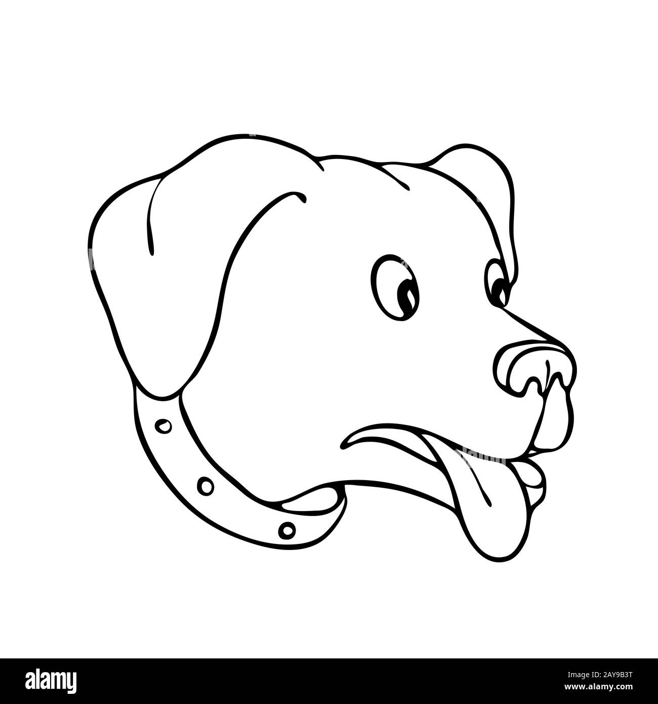 Labrador retriever black line Black and White Stock Photos & Images - Alamy