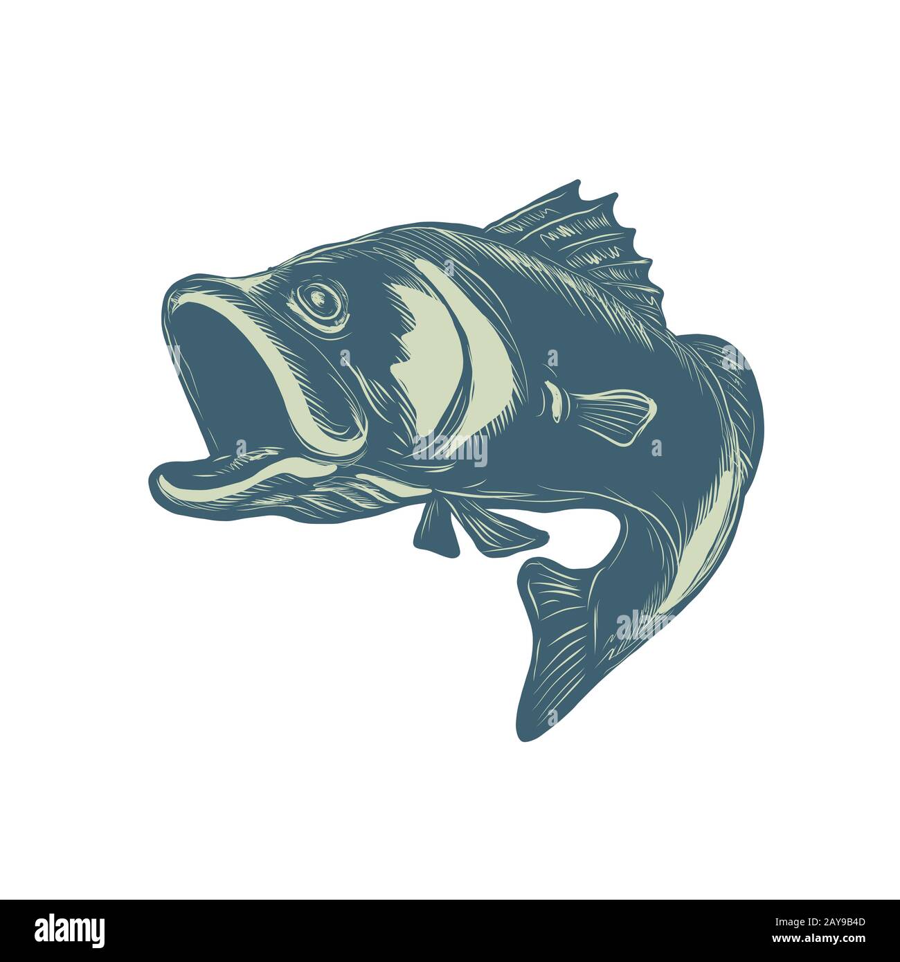 Digital Prints SRA3 signed print of jumping barramundi illustration by ...