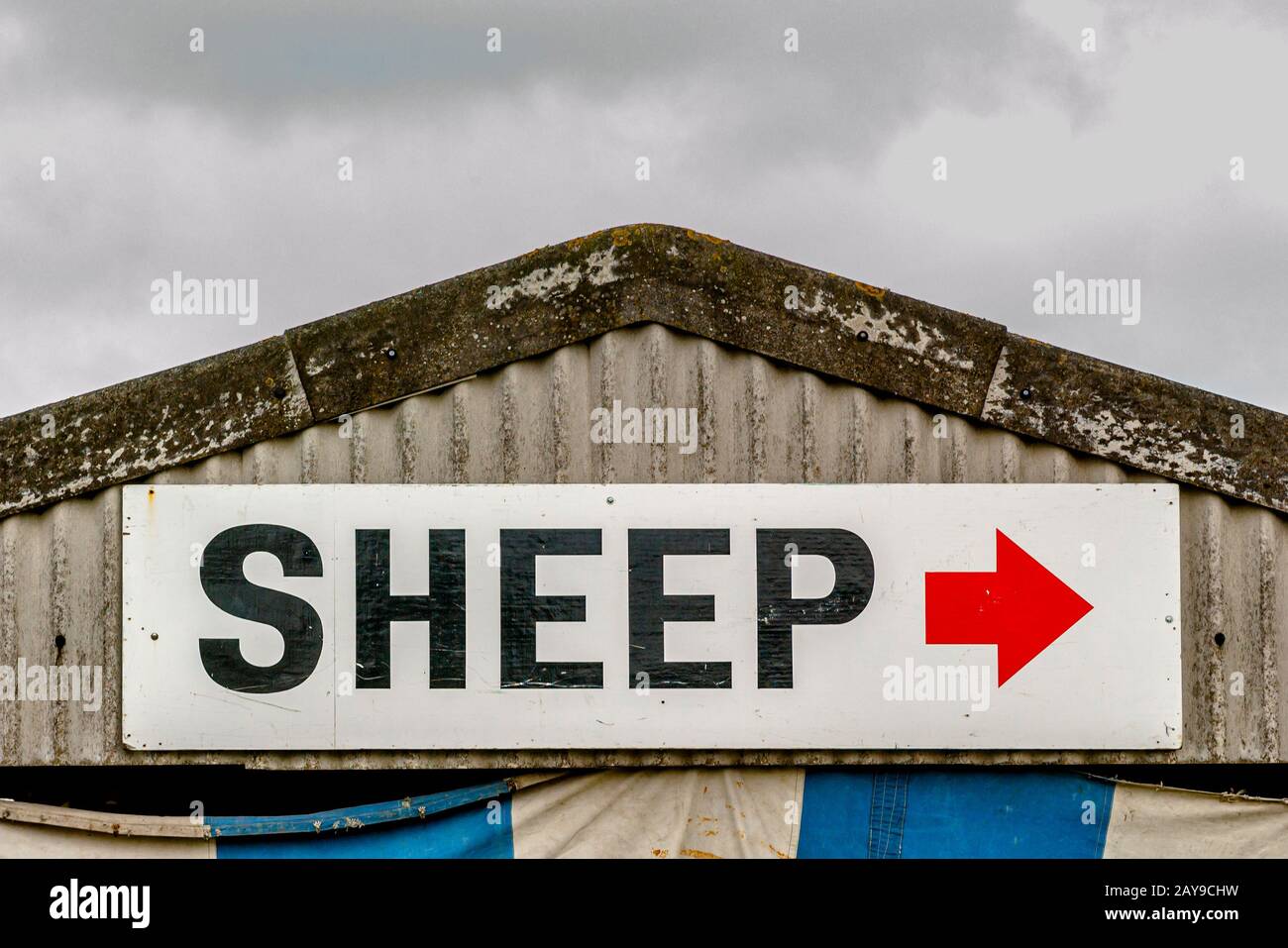 Sheep sign on barn Stock Photo - Alamy