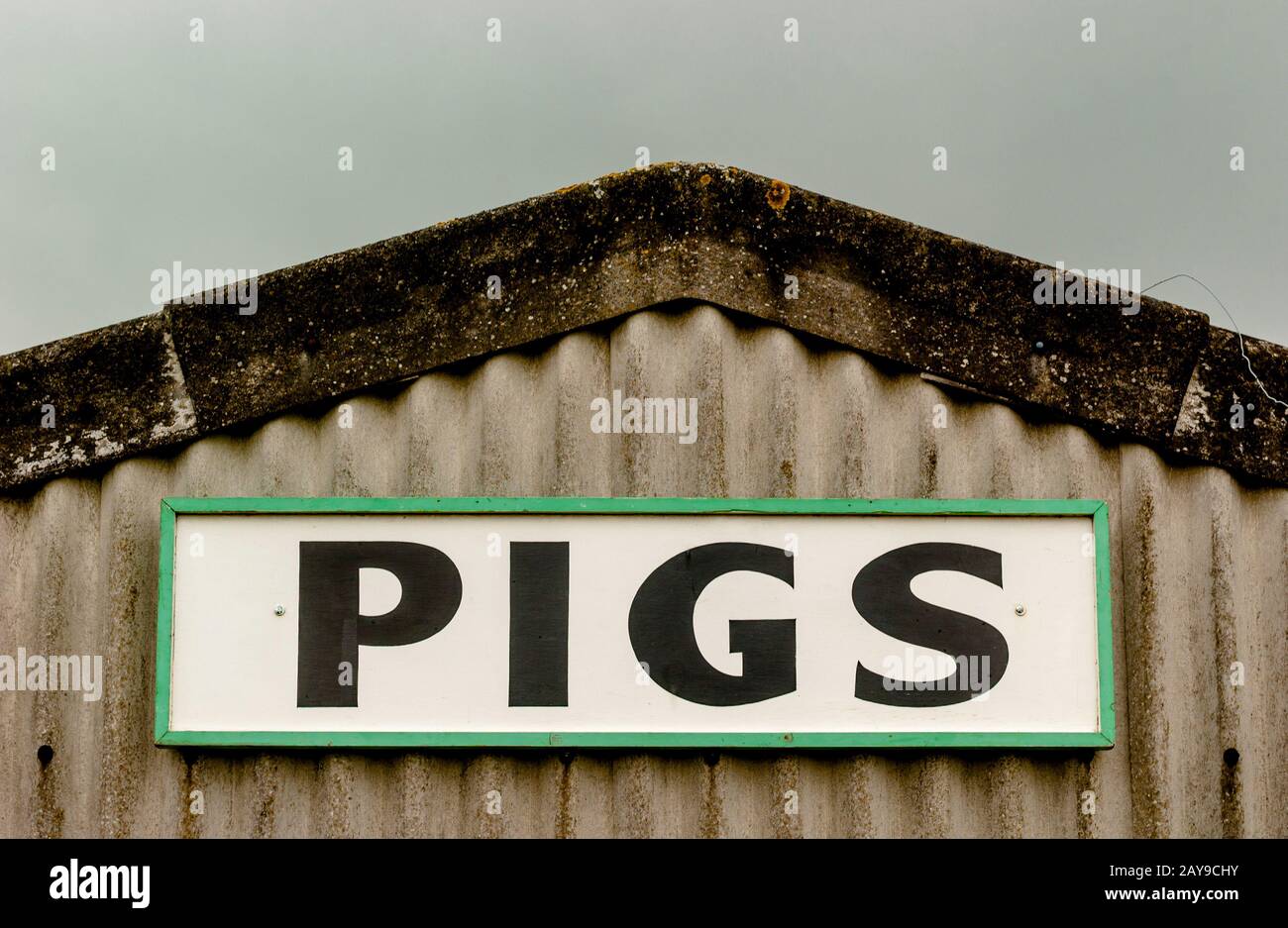 PIGS sign on barn Stock Photo - Alamy