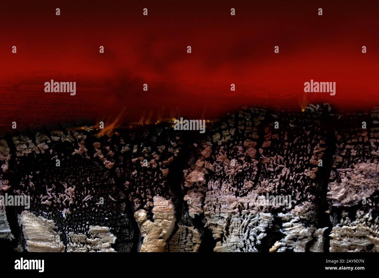 Vision of the apocalypse hi-res stock photography and images - Alamy