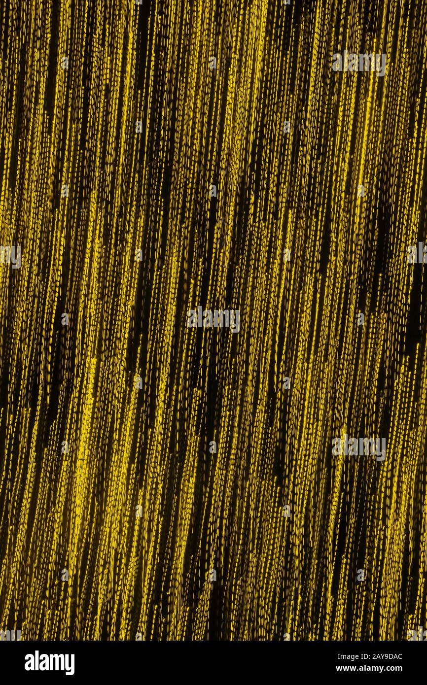 Light points hi-res stock photography and images - Alamy