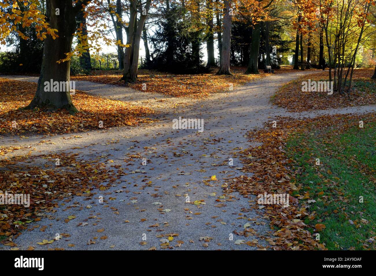 Road junction hi-res stock photography and images - Alamy