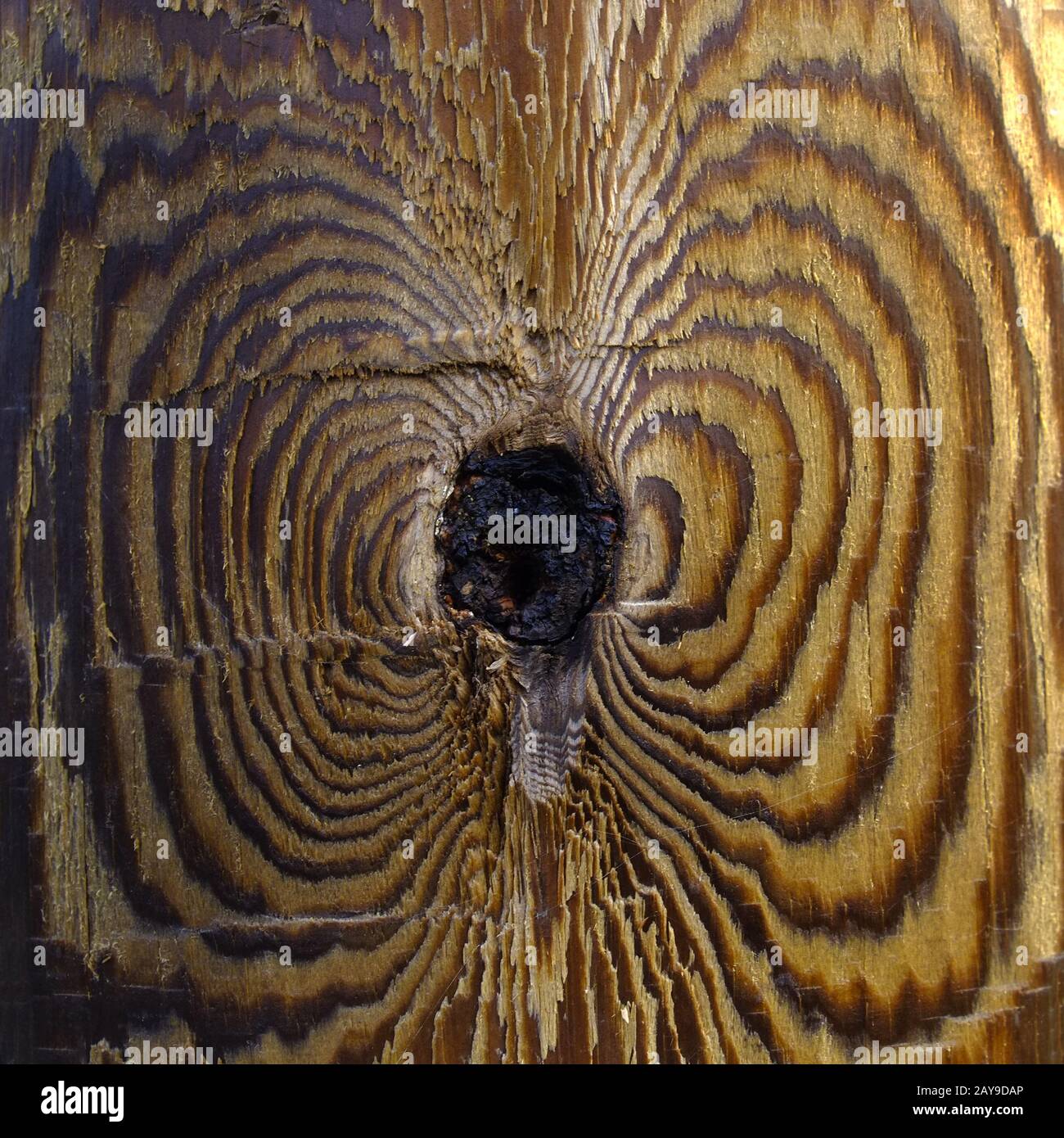 Woodgrain hi-res stock photography and images - Alamy