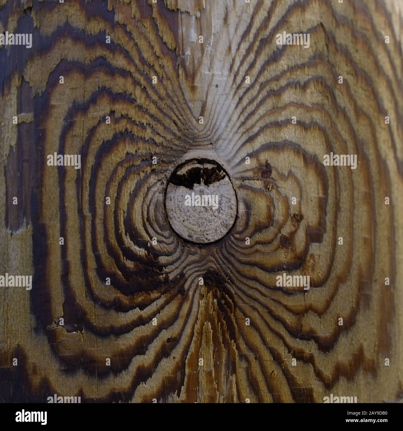 Woodgrain hi-res stock photography and images - Alamy